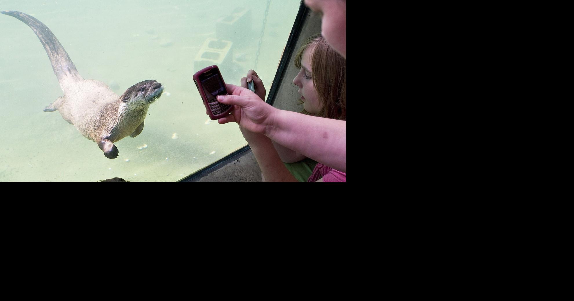 Peterborough zoo mourning the loss of 19-year-old otter
