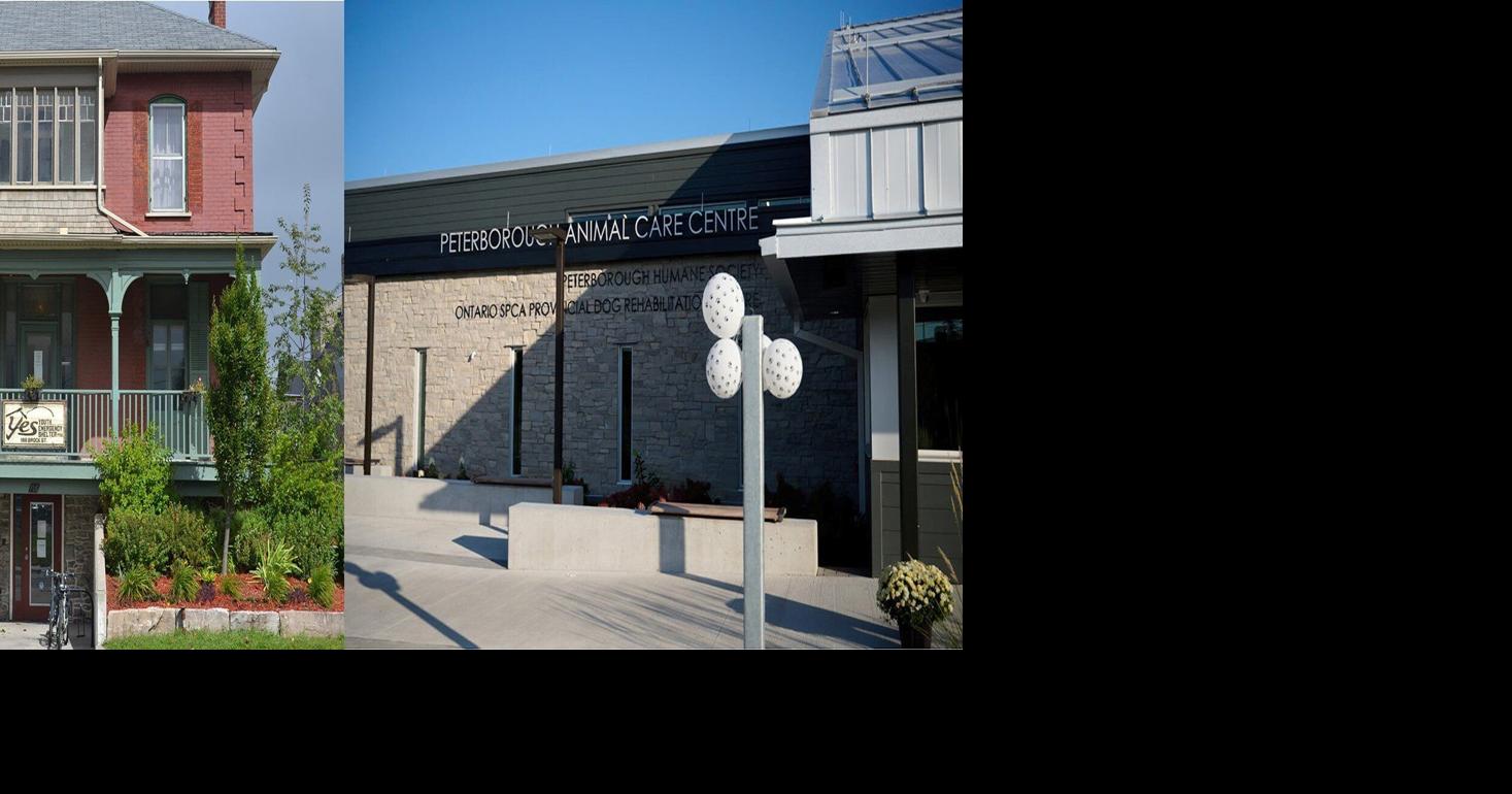 Library makes it easy to help YES and the humane society