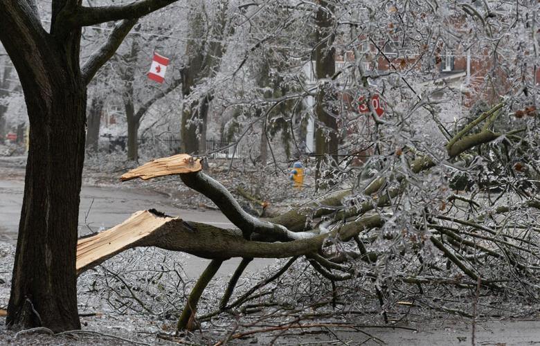 Peterborough residents deal with aftermath of ice storm