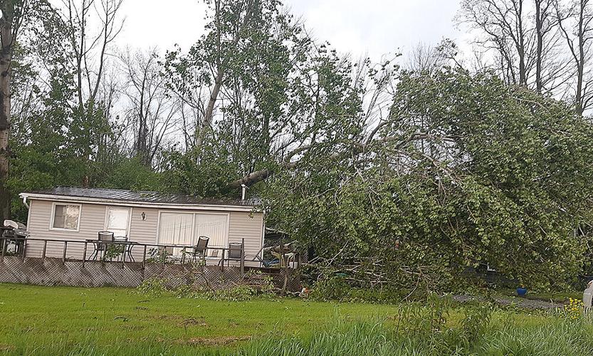PHOTOS: Severe storm blasts through Peterborough area leaving wake of ...
