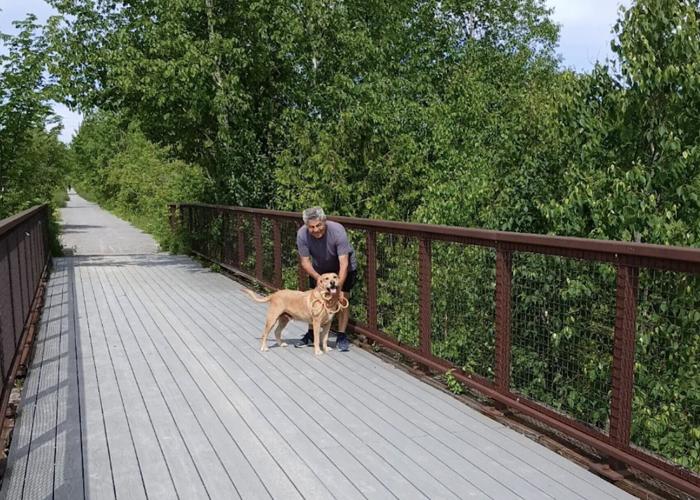 Bobcaygeon day trip: Dog-friendly patios, trails and shops