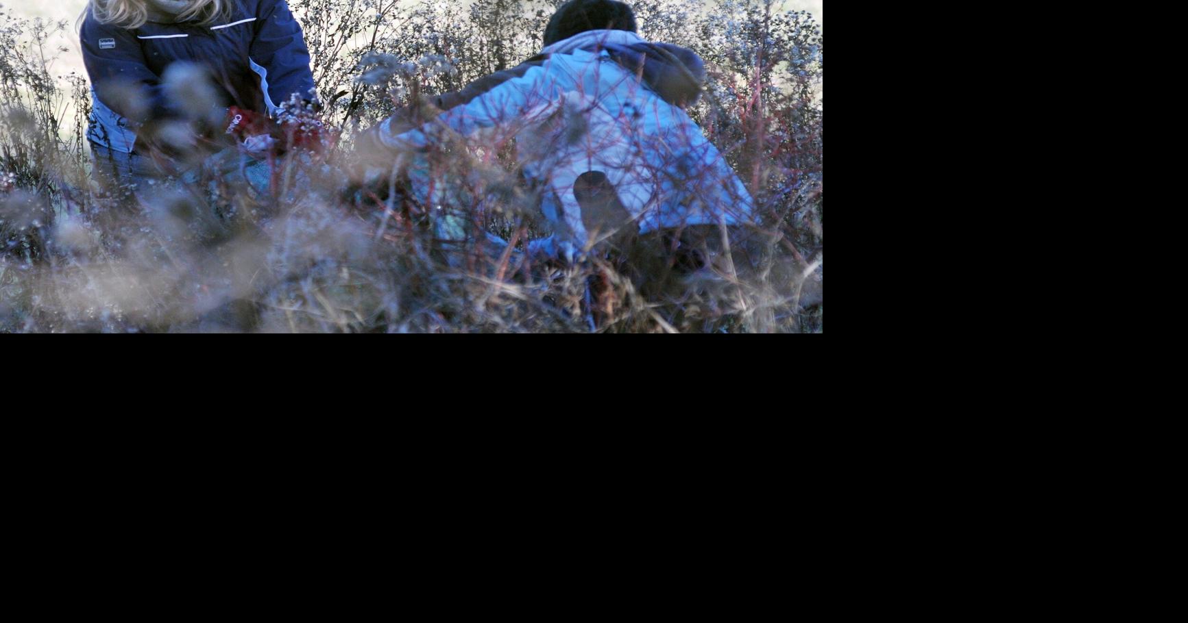 Police ask for rural residents to search anew for clues related to Lise ...