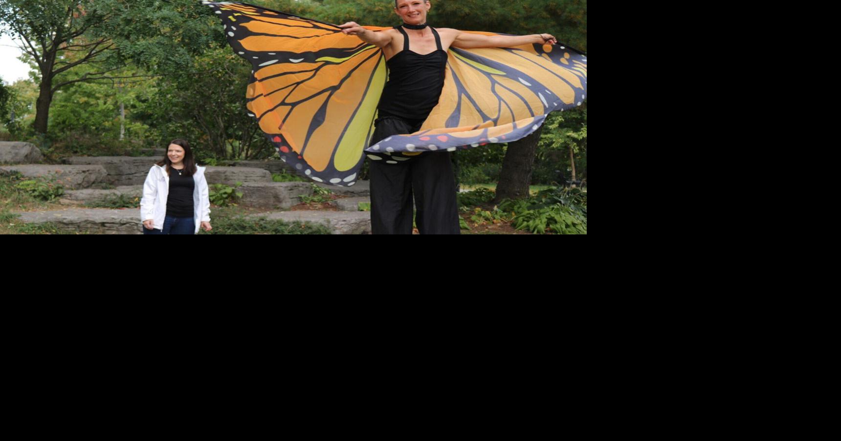 Butterfly Run returning to Millennium Park in Peterborough in April