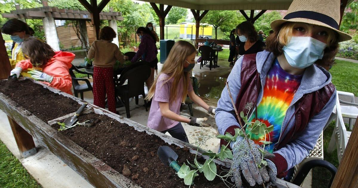 Photos: Adam Scott Intermediate School eco-team teams up with Fairhaven ...
