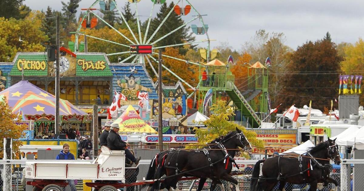In-person Norwood Fall Fair a go this year after two years on hiatus