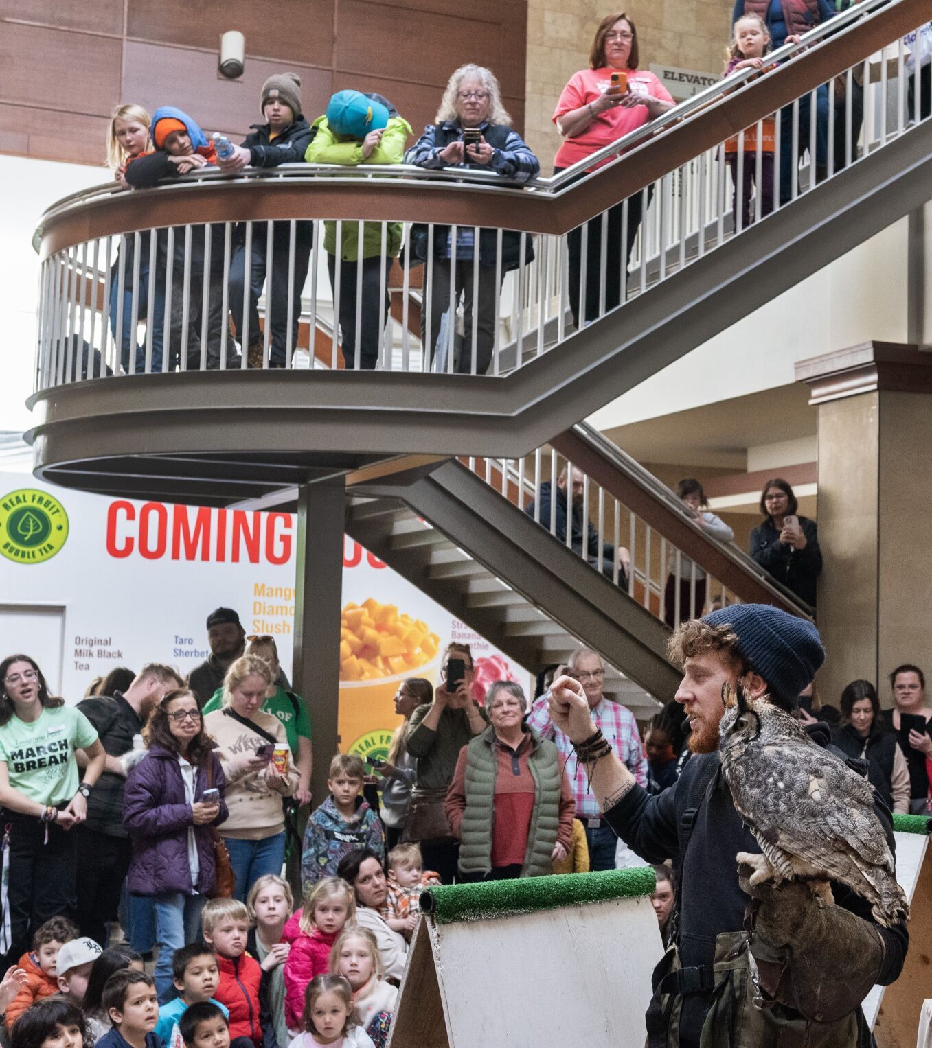 Birds of prey swoop down at Lansdowne Place Mall