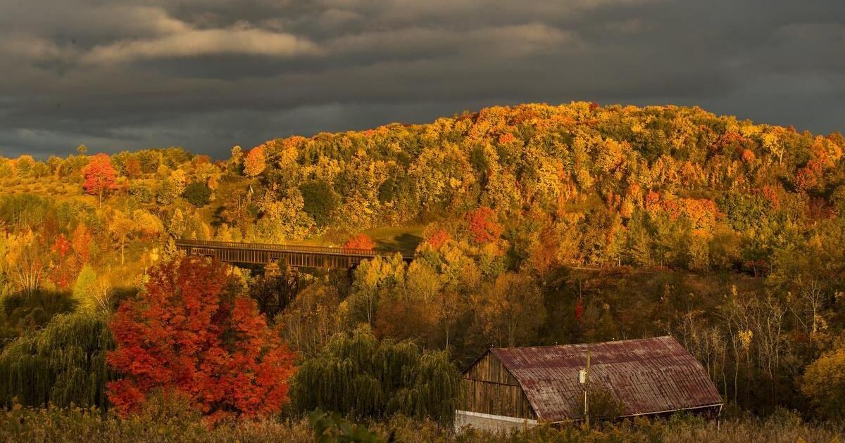 Photos: Peterborough area awash in fall colours