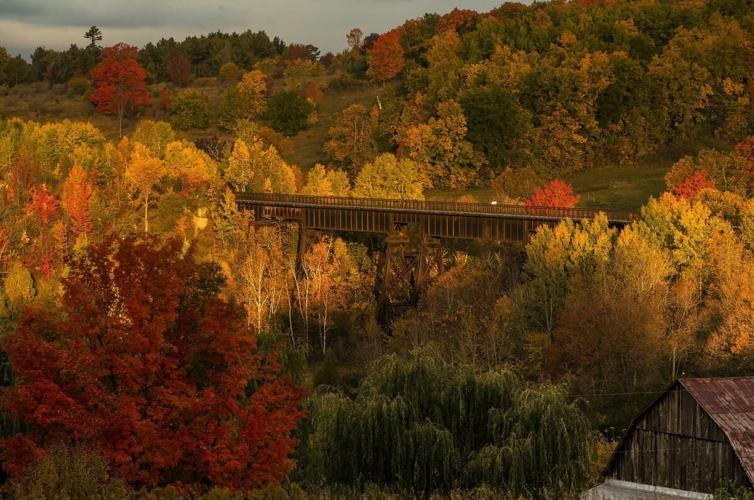 Photos: Peterborough area awash in fall colours
