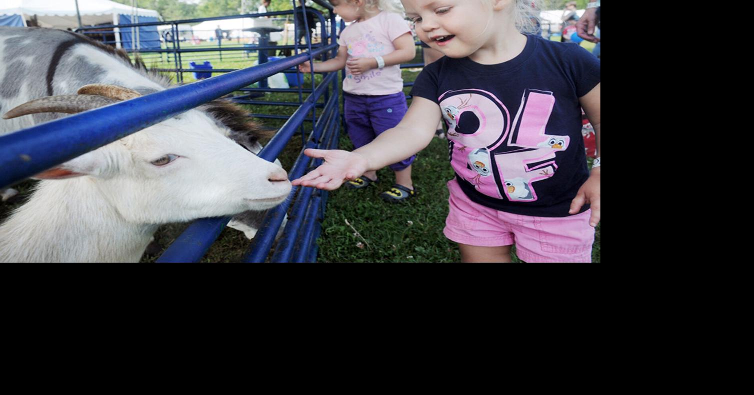 Port Hope Fair issues call for help