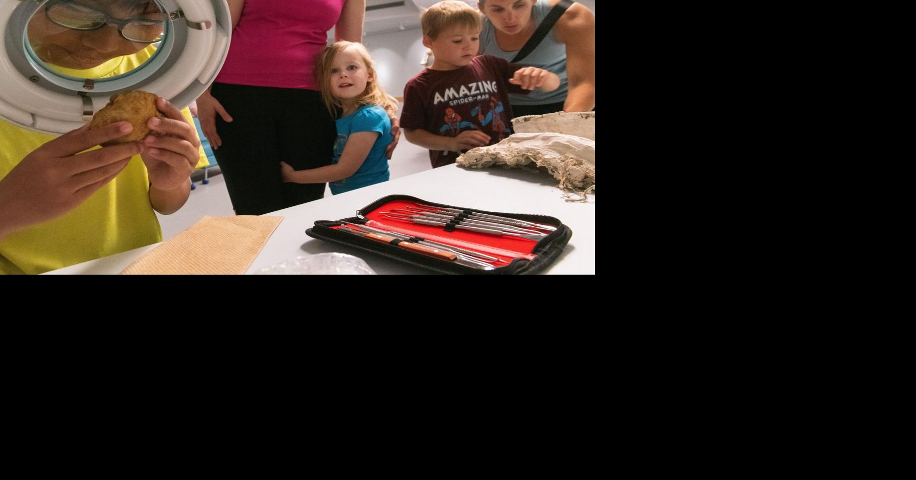 Discovering Dinosaurs drop-in program held at city library