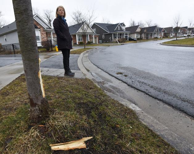 Car accidents on Peterborough street a concern for homeowner