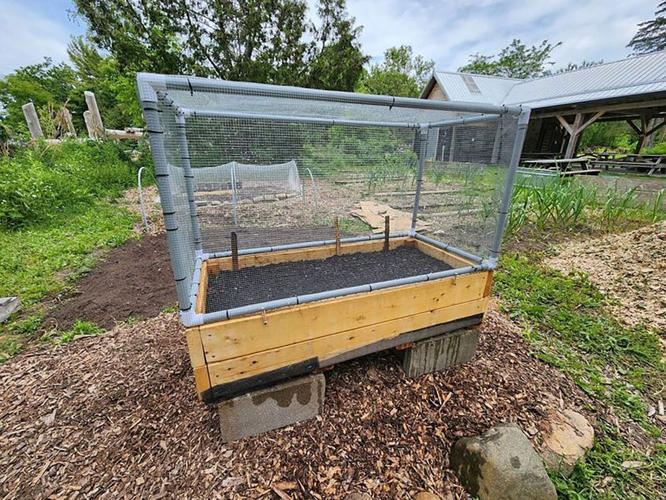 Ecology Park returns to its roots