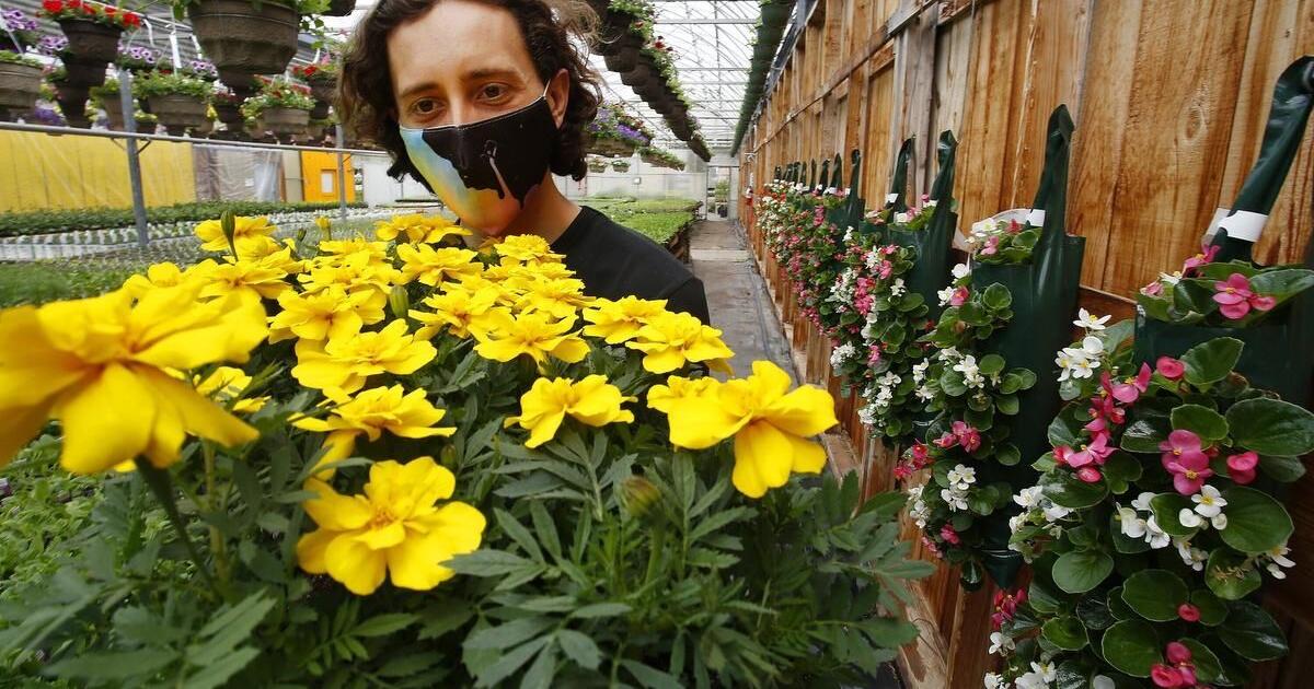 $50 boost to get growing available from Commonwell Mutual Insurance