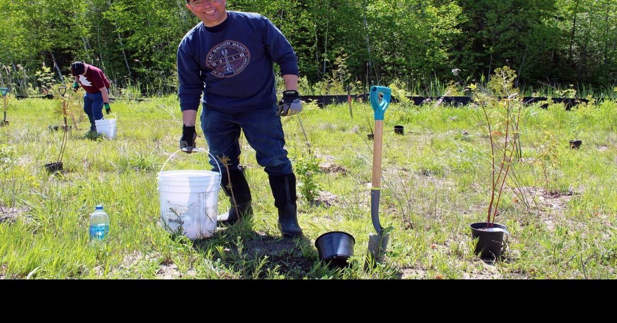 Otonabee Conservation plants more than 1,500 trees and shrubs this season