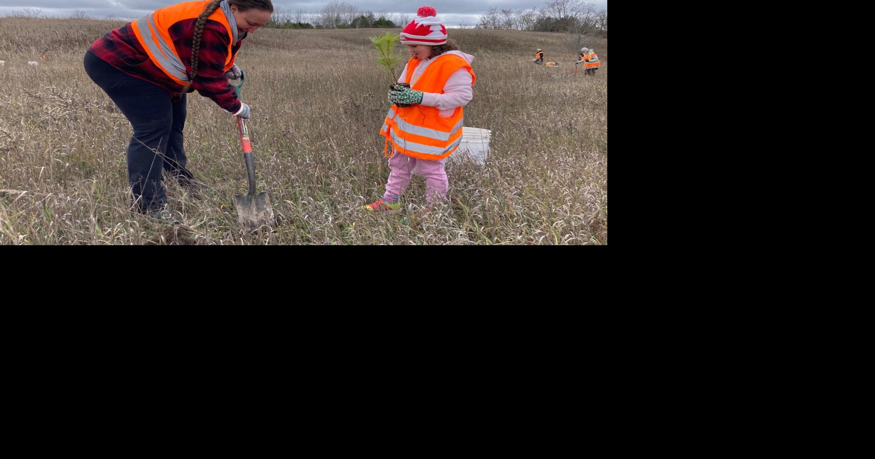 Metis Nation of Ontario and Otonabee Conservation plant 450 trees in ...