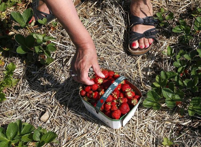 Photos: Fleming College celebrates Indigenous Peoples Day with a day of ...