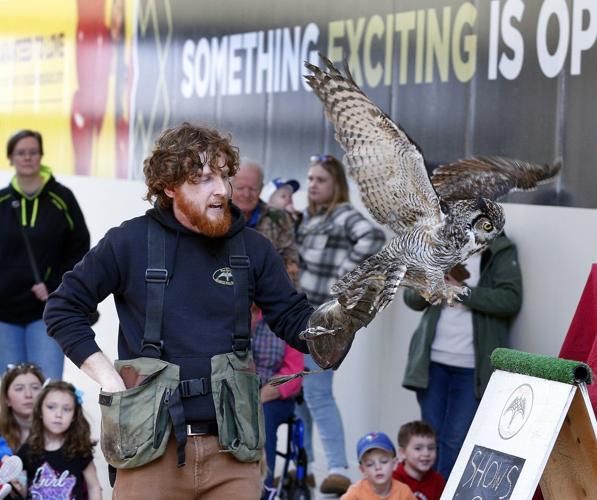 The Eyrie Birds of Prey centre event held at Lansdowne Place