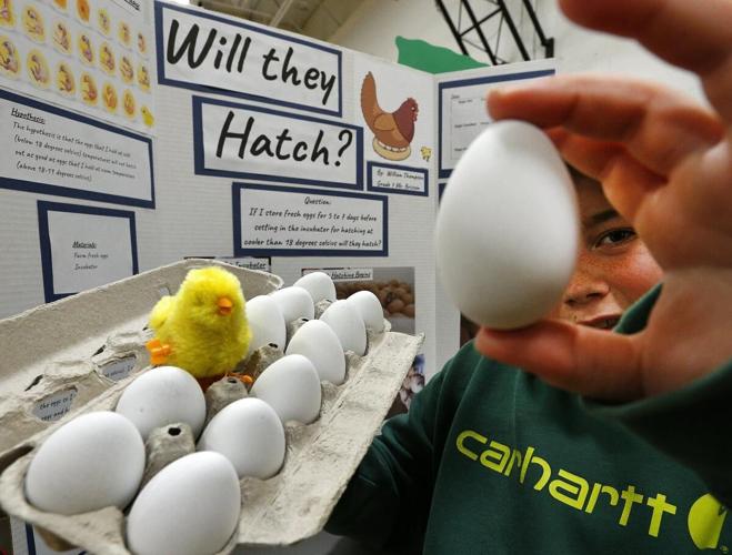 Photos: Science fair held for students at James Strath Public School
