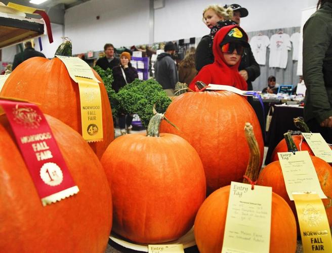 Photos: Norwood Fair returns