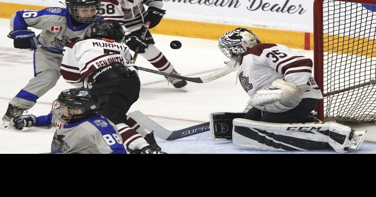 Future of the Central Ontario Wolves remains unclear