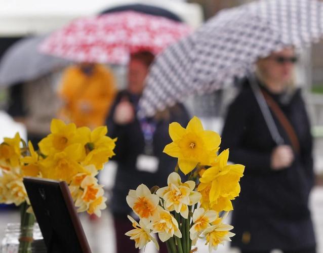 Photos: Peterborough Regional Farmers Market opens for season in Quaker ...