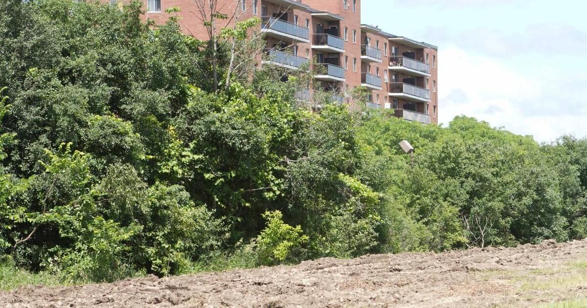 Kevin Elson: Parkway no longer a priority for Peterborough (for now)