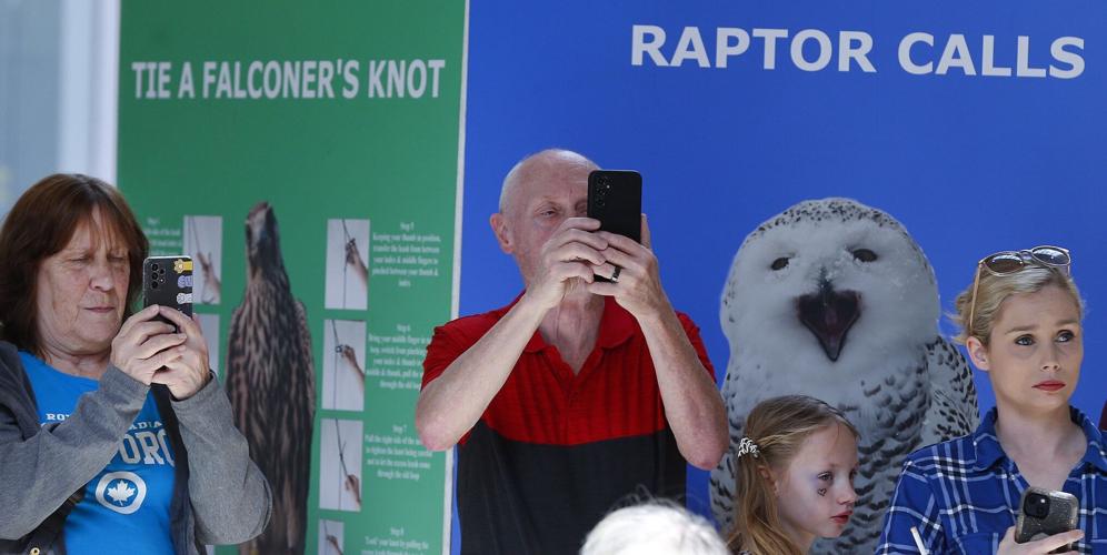 The Eyrie Birds of Prey centre event held at Lansdowne Place