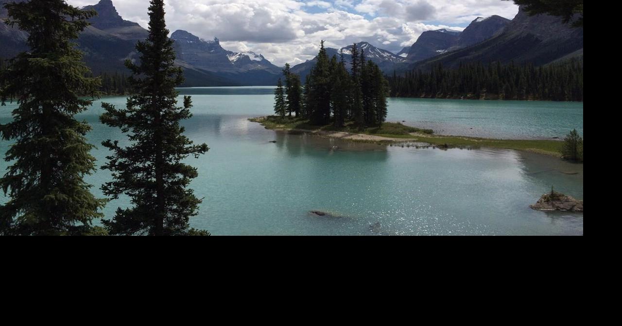 Peacock on the loose for days in Jasper National Park in Alberta euthanized