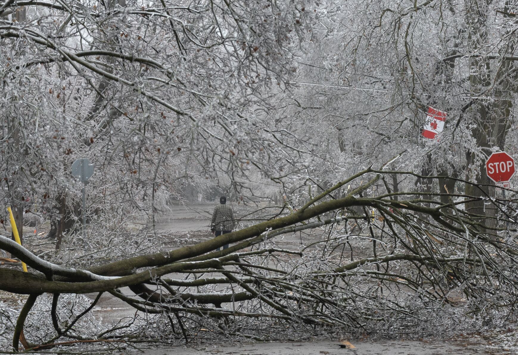Peterborough residents deal with aftermath of ice storm