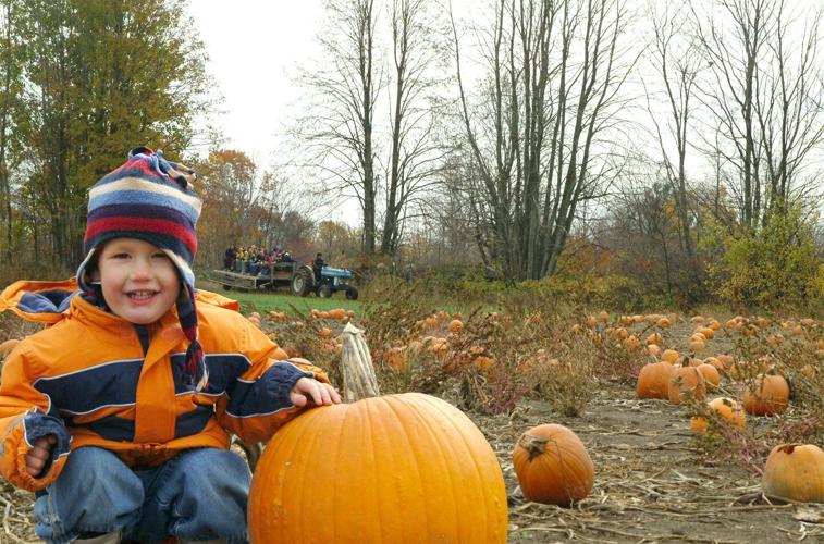 Best spots in the Kawarthas to see Fall colours
