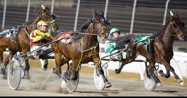 Deal in works to save Kawartha Downs harness racing