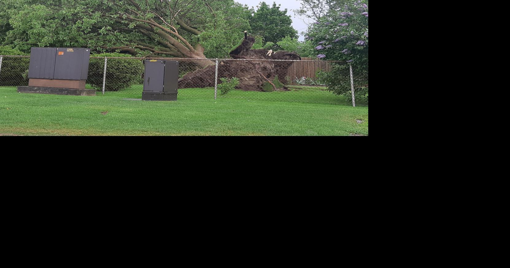 PHOTOS: Severe storm blasts through Peterborough area leaving wake of ...