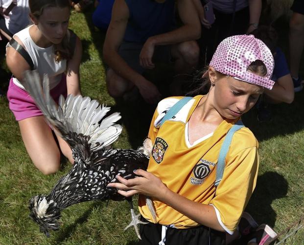 Photos: Ennismore Shamrock Festival celebrates traditions and heritage