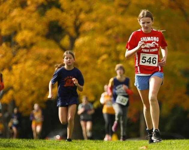 PHOTOS: Nice day for a run – school cross country meet at Nicholls Oval