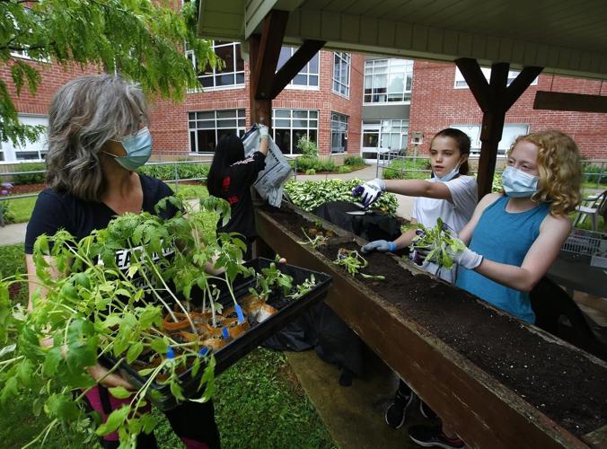 Photos: Adam Scott Intermediate School eco-team teams up with Fairhaven ...