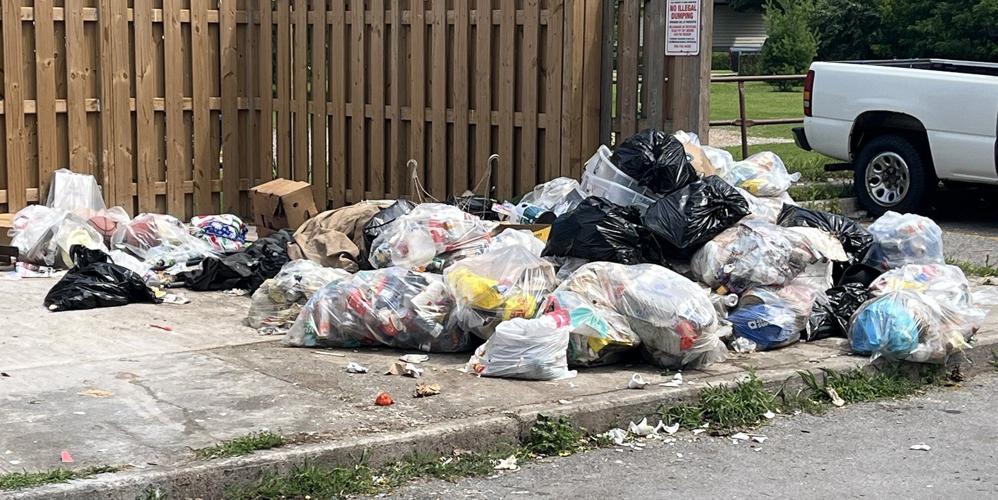 Rats invade south-end Peterborough neighbourhood