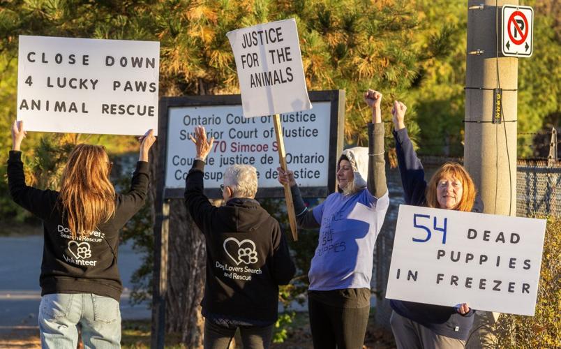4 Lucky Paws Rescue owner ordered to pay $40,000 in fines