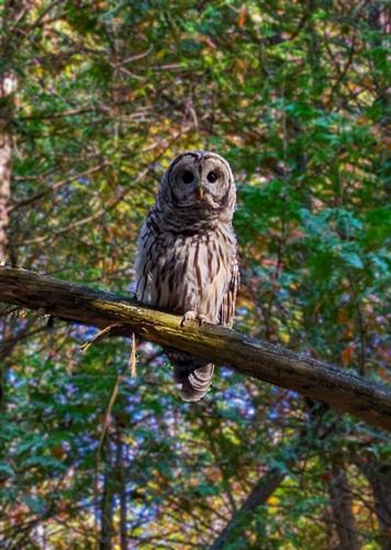 Saitz: How to get the most out of your Windows experience