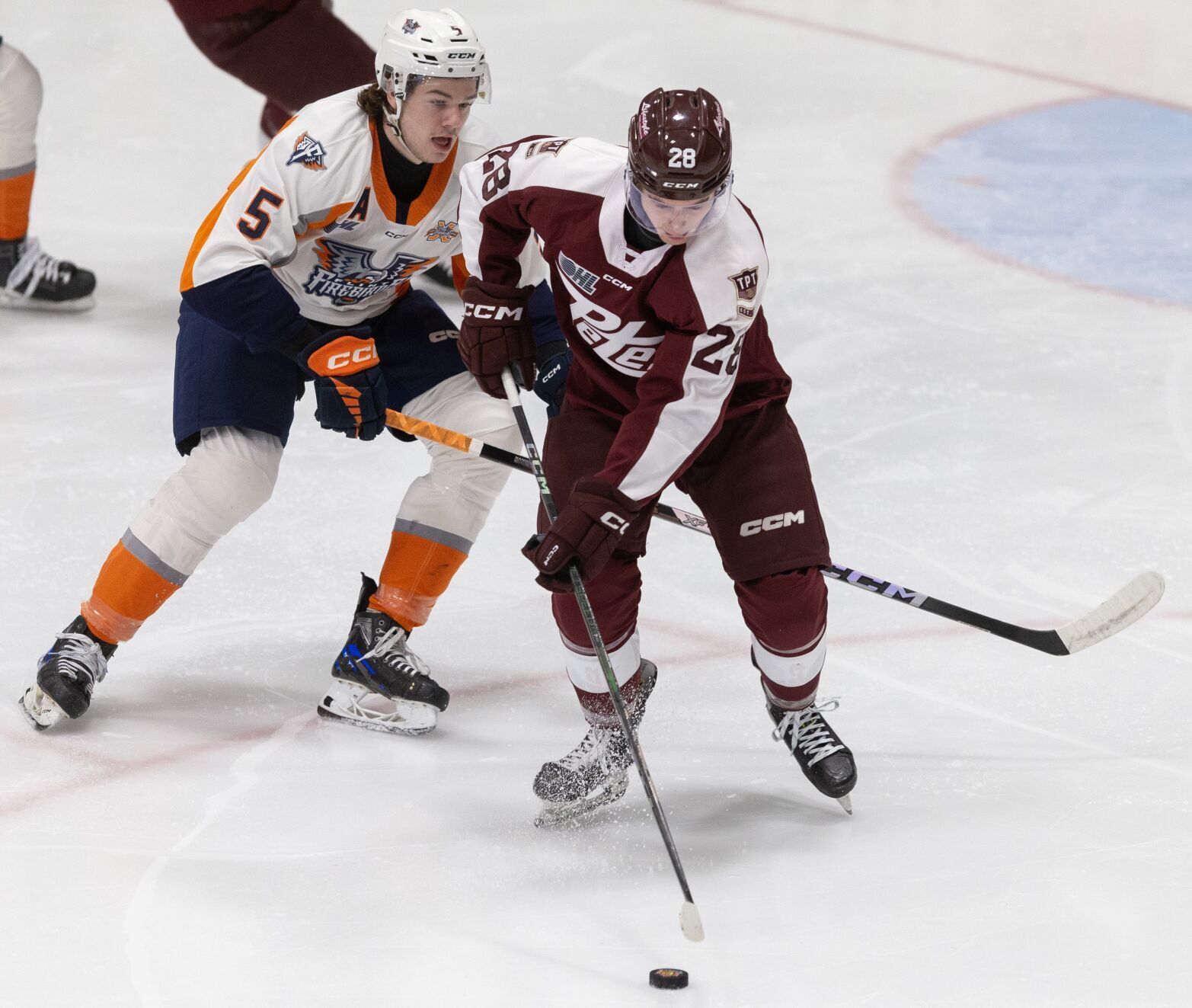 No playoff ground made after Petes loss