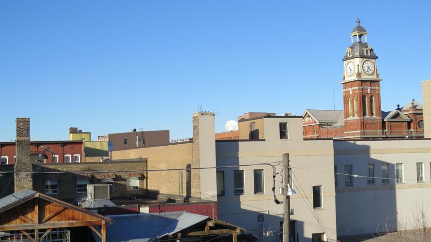 Watchers at a roost: Chimney Swifts in Peterborough