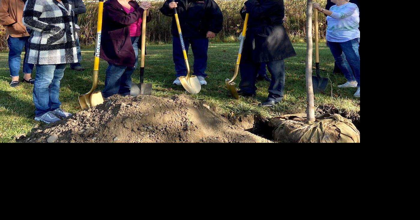 Brighton plants two 2 for royalty