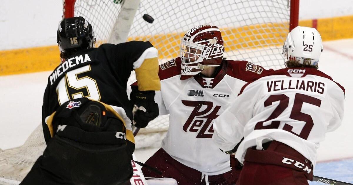 Size, shot, and attititude helping Brayden Velliaris fit in with the Petes