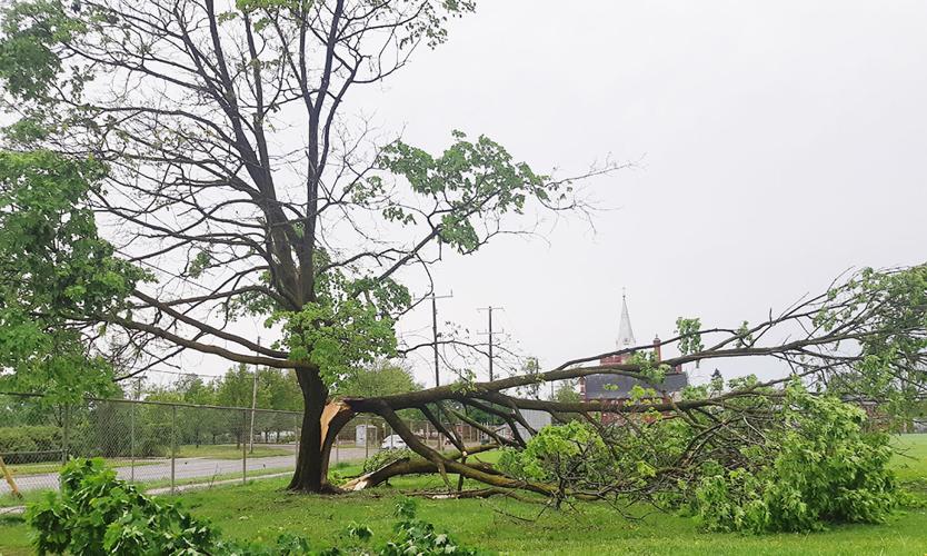 PHOTOS: Severe storm blasts through Peterborough area leaving wake of ...