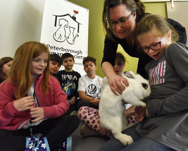 Peterborough Humane Society introduces 50/50 lottery