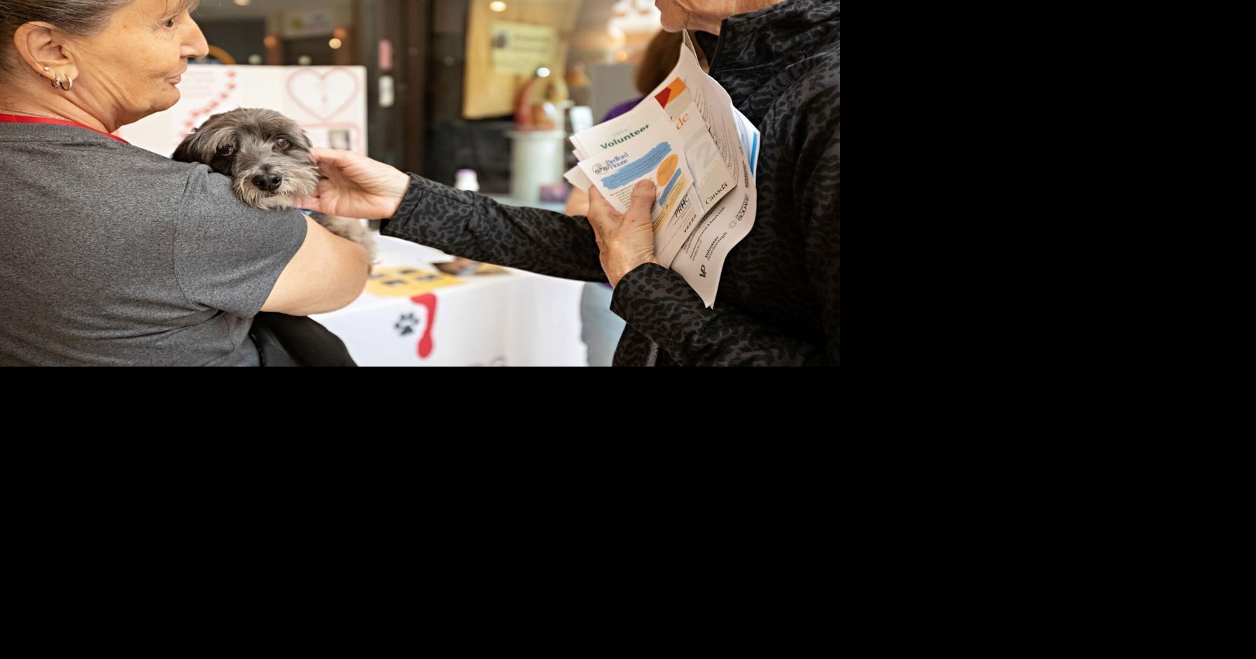 Survey identifies strong desire for more volunteer roles
