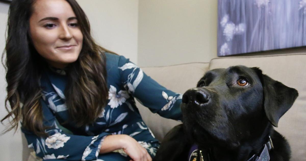 Peterborough Police facility dog Pixie wins provincial award
