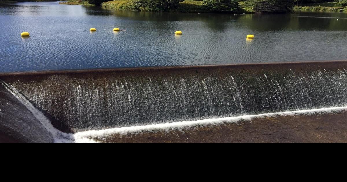 ‘Floating fences’ going up at Peterborough County dams