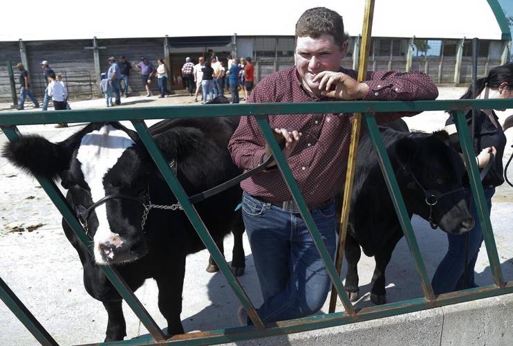 Photos: Cattle call at the annual Peterborough County Cattlemen’s ...