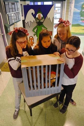 The Grinch strikes again at Scott Young Public School in Omemee