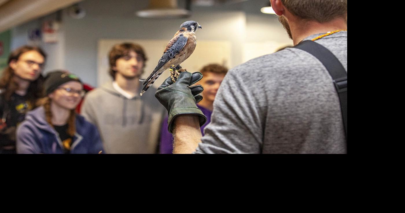 Frost Campus initiative supports feathered friends